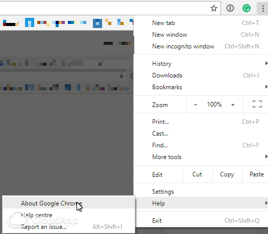How do I find out which version of my browser I'm running?